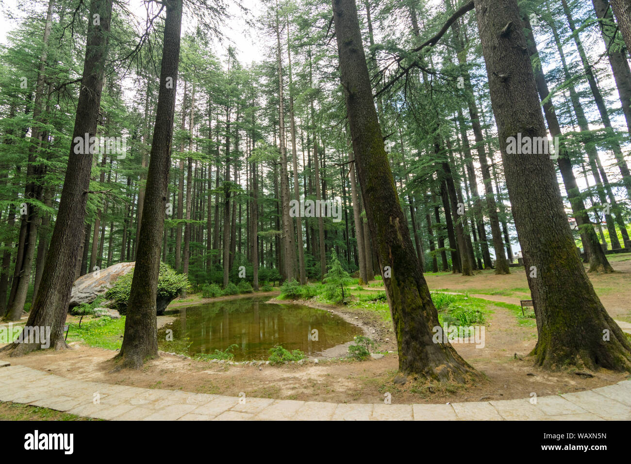 Van Vihar Forest in Manali Stock Photo - Alamy