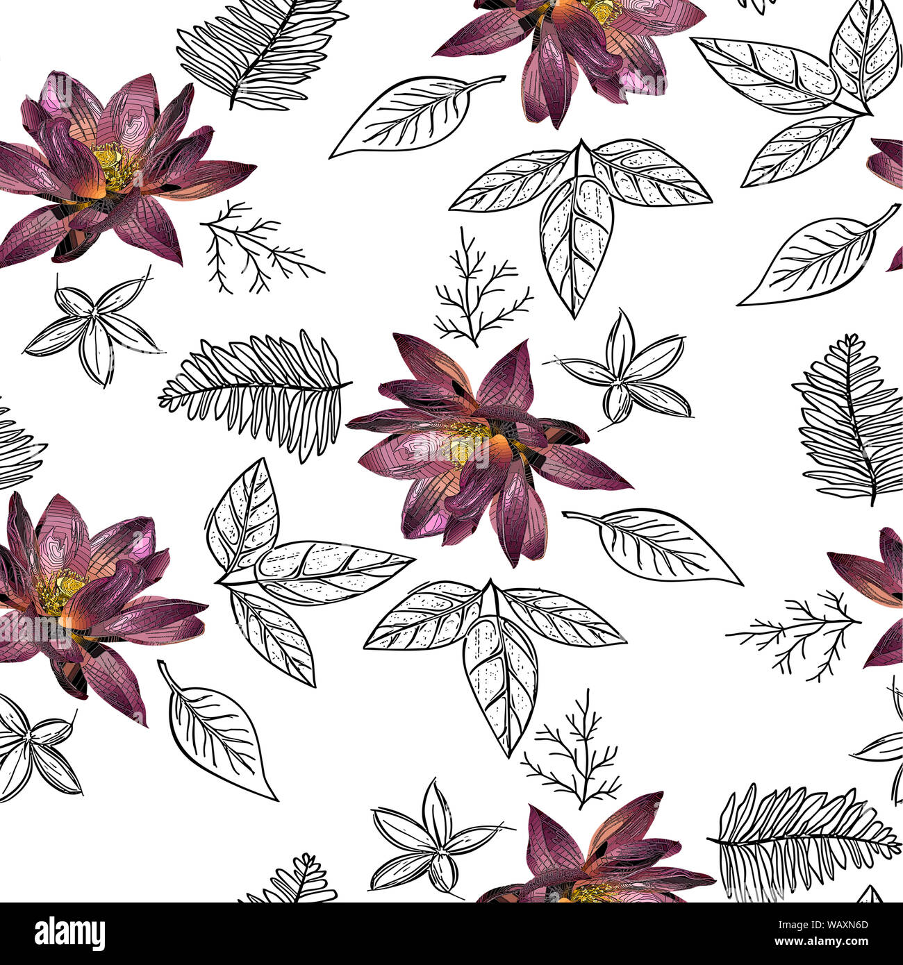 Lily branches Cut Out Stock Images & Pictures - Alamy