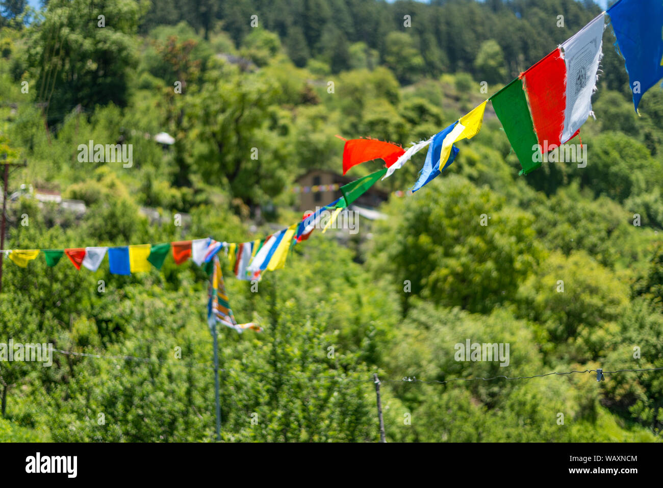 Budhist flags hi-res stock photography and images - Alamy