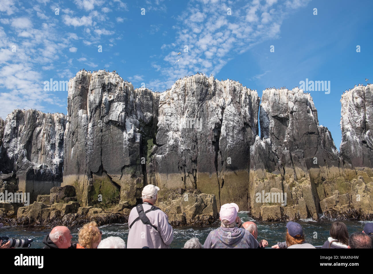 The Farne Islands are a group of small islands off the coast of ...