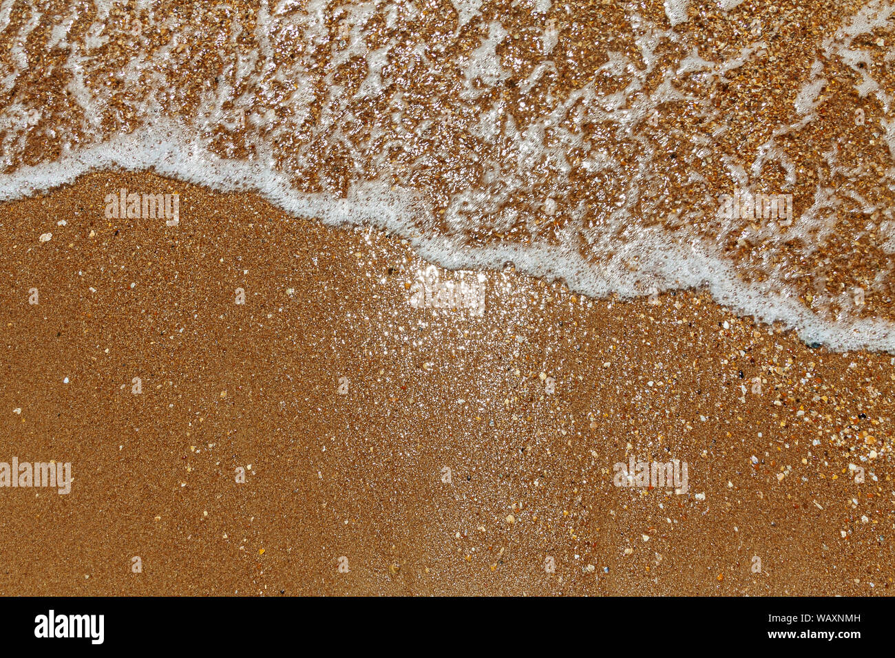 A running wave on the sandy shore Stock Photo - Alamy