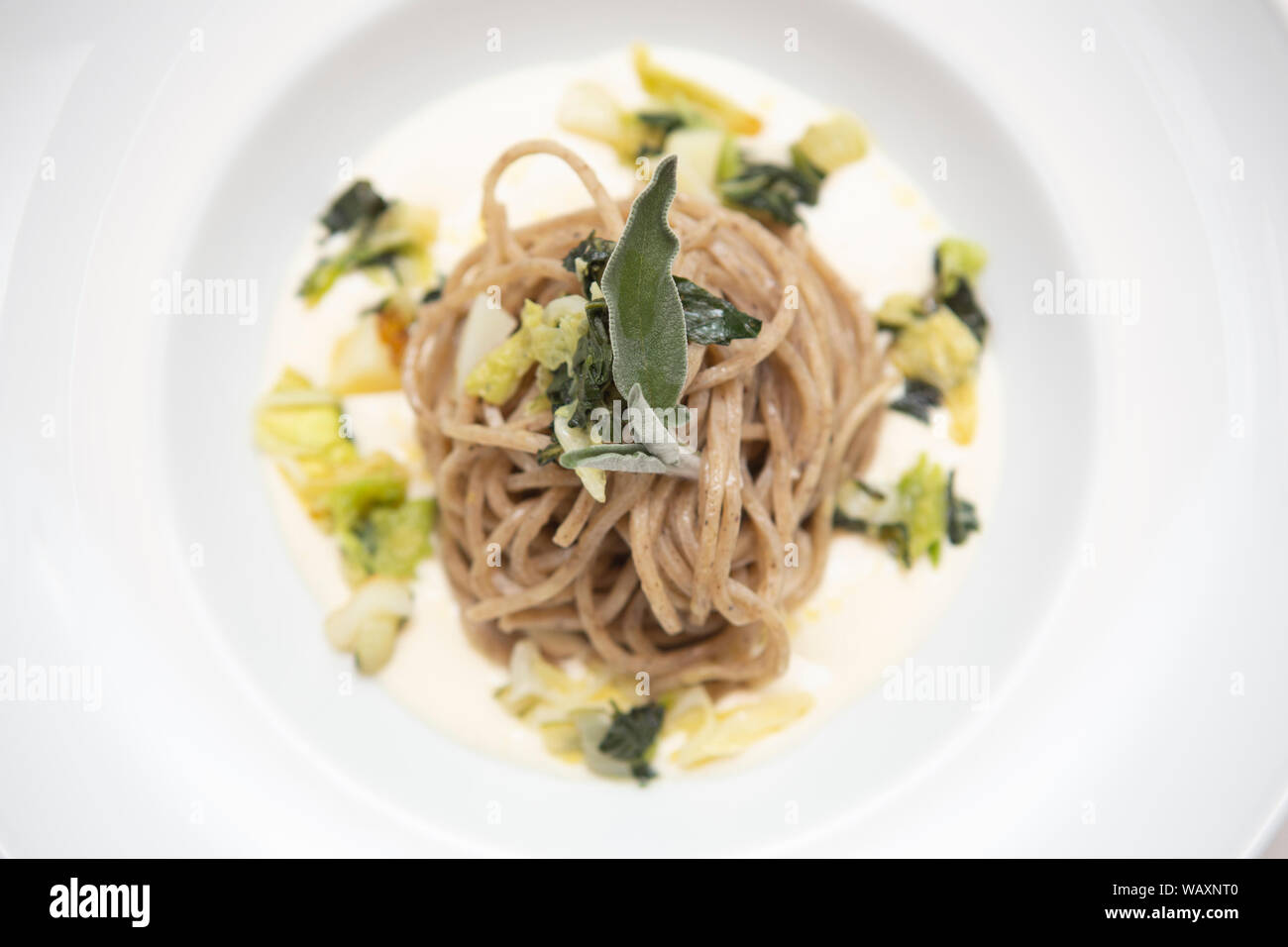 Close up on a dish with italian recipe, pasta with rosmarino, served in ...