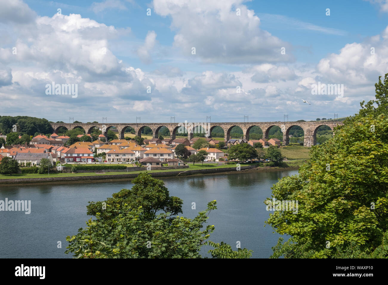 Berwick Bridge,also known as the Old Bridge,spans the River Tweed in ...