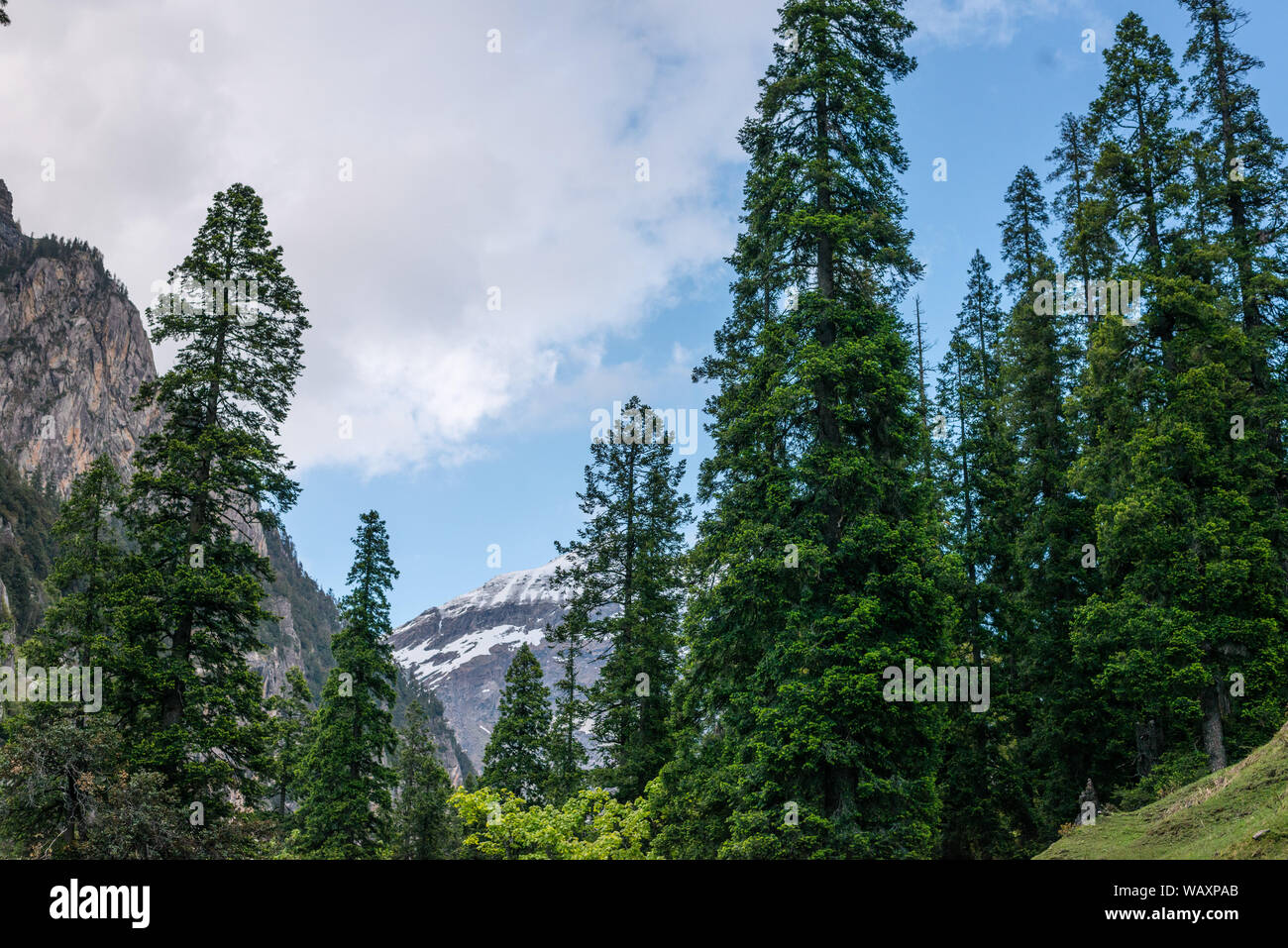 Beautiful Scenes experienced during the trek to the Hamta Pass Trek in ...