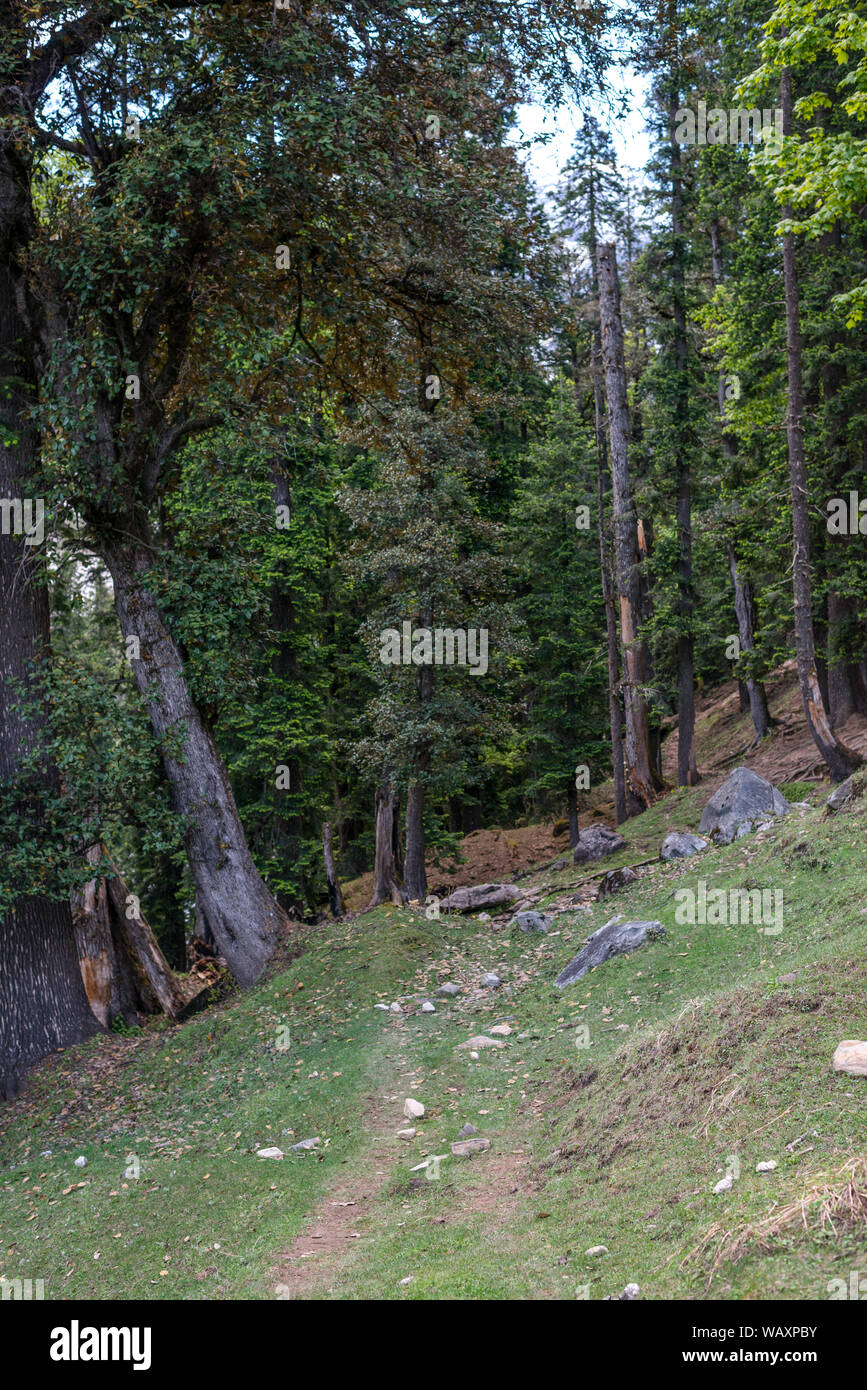 Beautiful Scenes experienced during the trek to the Hamta Pass Trek in ...