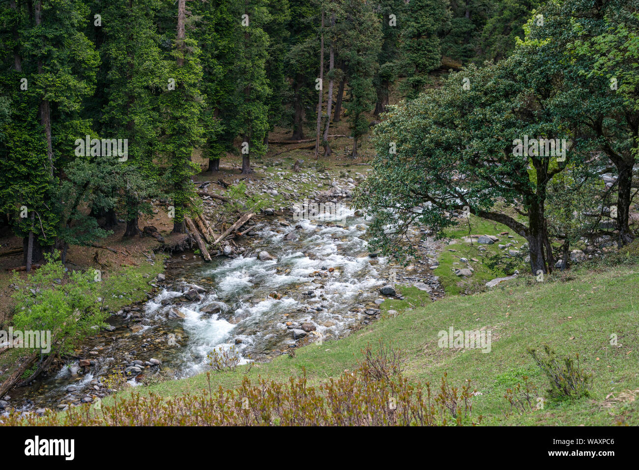 Beautiful Scenes experienced during the trek to the Hamta Pass Trek in ...