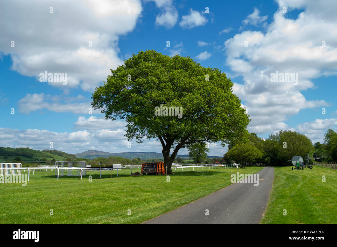 Ludlow racecourse hi-res stock photography and images - Alamy
