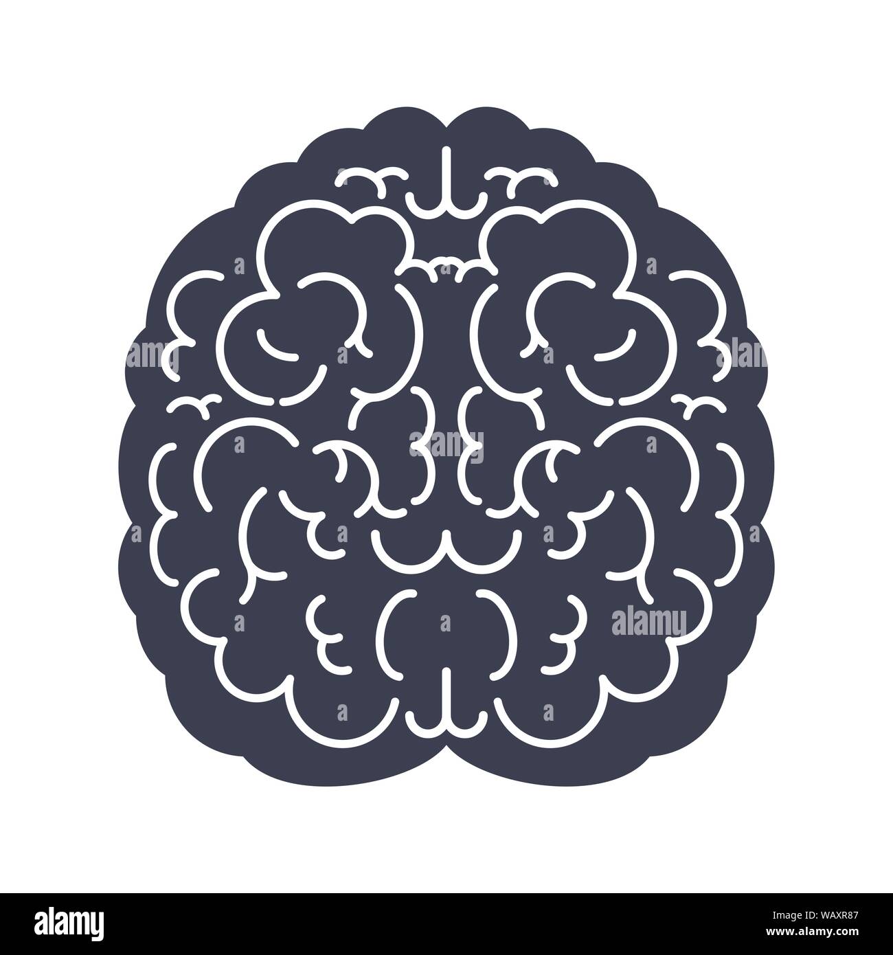 Brain Top View Vector