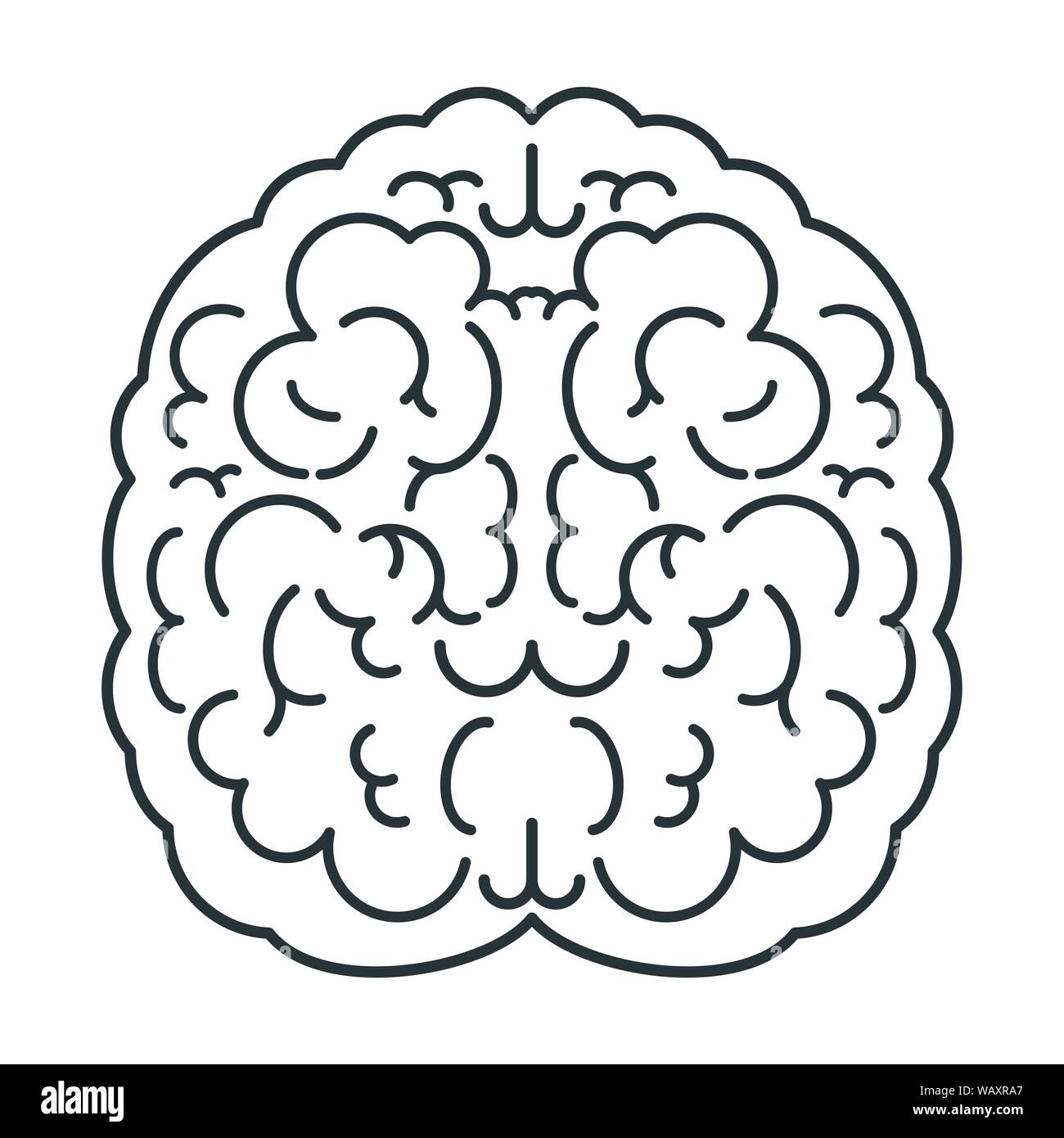 Brain white icon, top view. Mind, creativity and knowledge Stock Vector ...