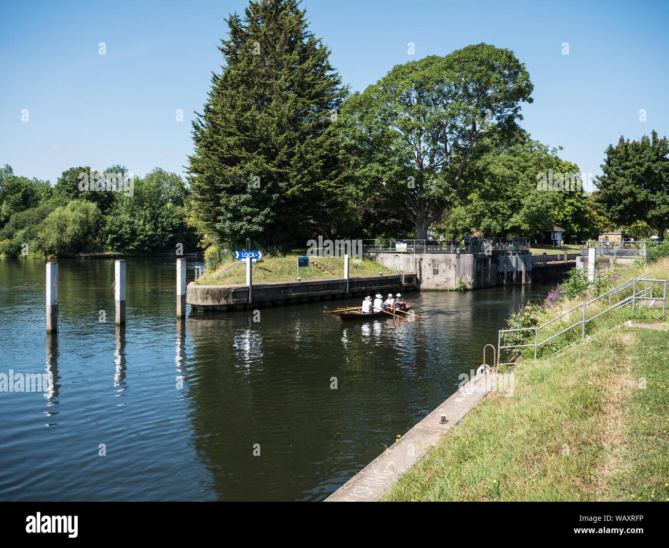 Men Rowing on River Thames, Penton Hook Lock, on The Thames Path ...