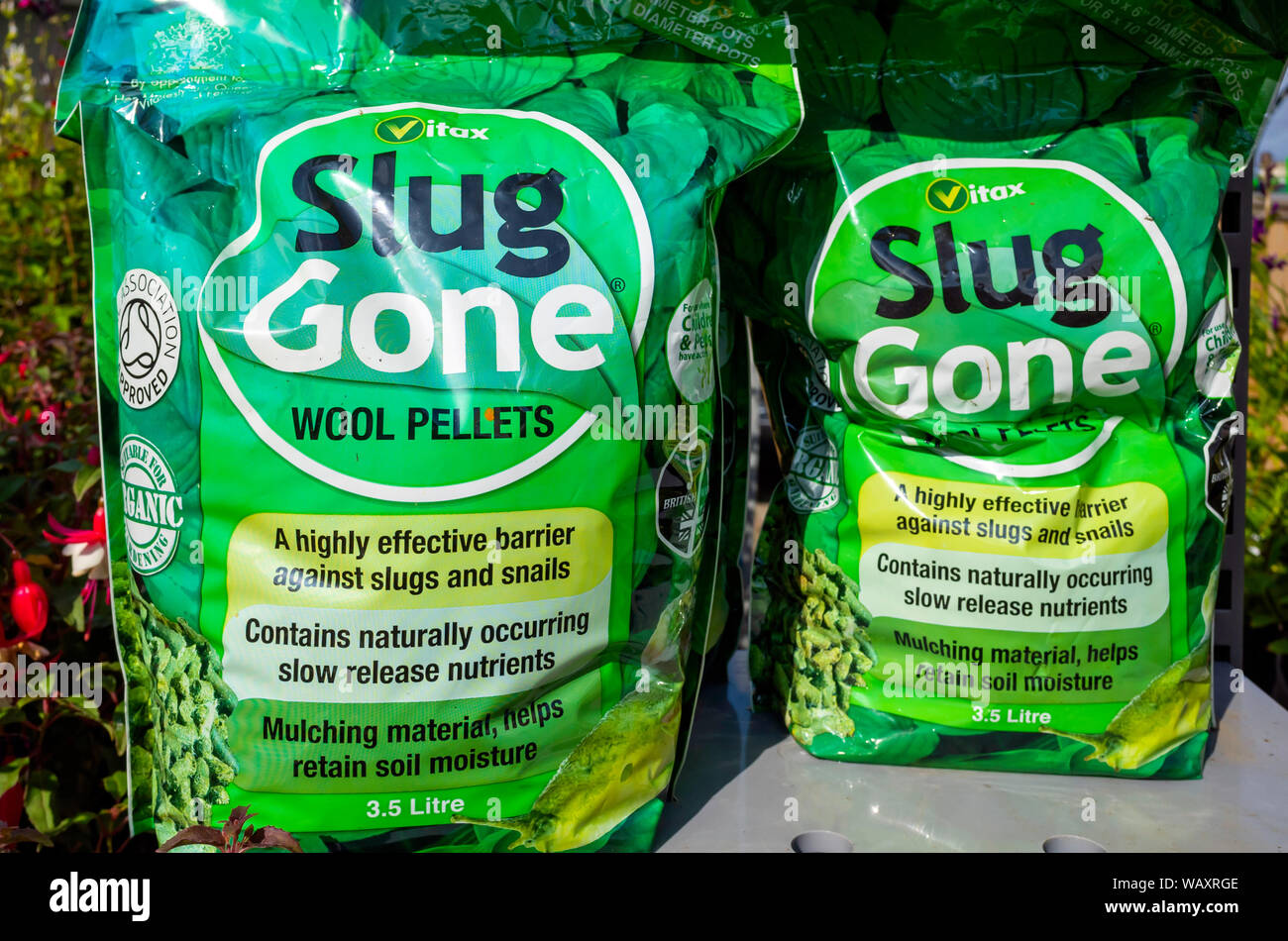 bags of Slugs Gone wool pellets for an effective barrier against slugs ...