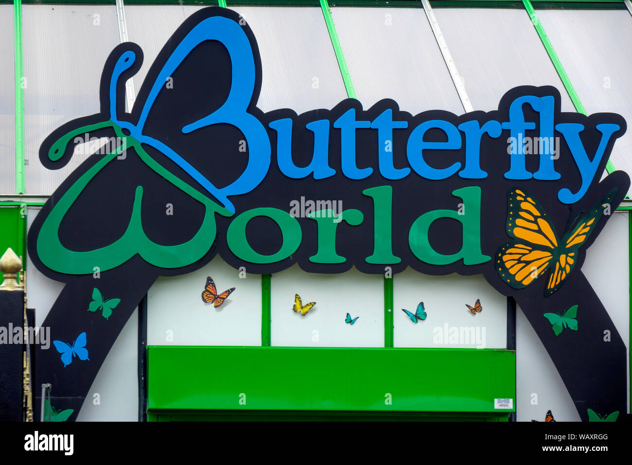 Butterfly World Logo 🦋 Butterfly Day Is BACK At The Sandy City