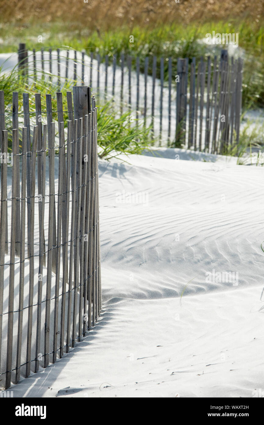 Sand dunes on a beach with sand fence Stock Photo - Alamy