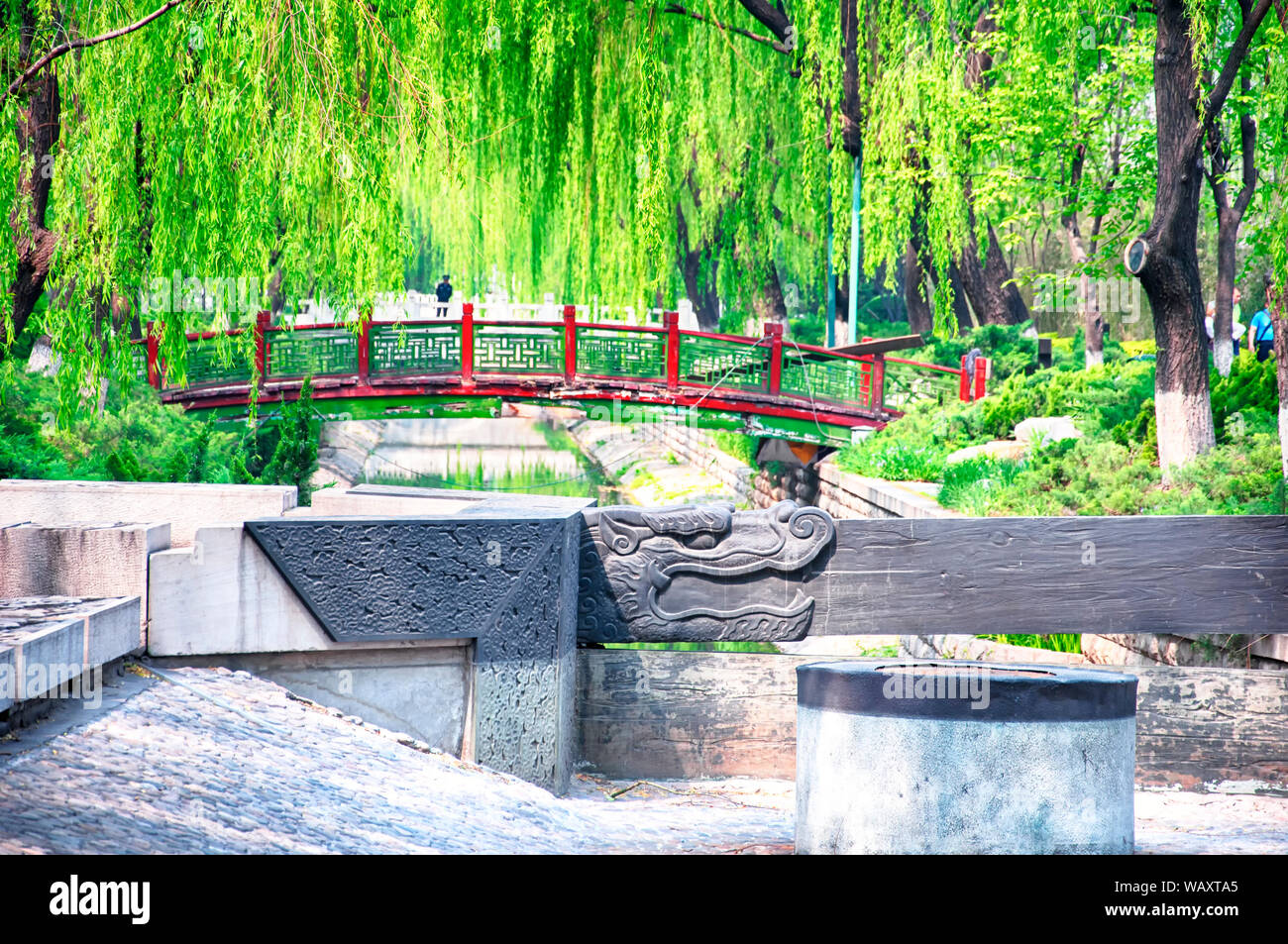 Golden Weeping Willow High Resolution Stock Photography and Images - Alamy