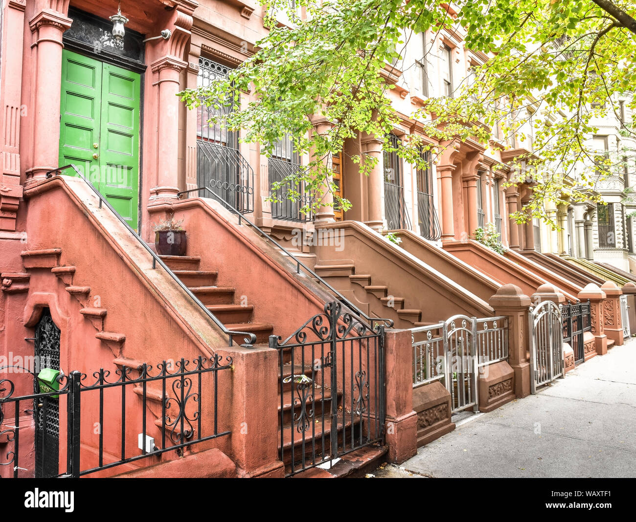Main ladder and entry door. New york Harlem buildings. Brown houses ...