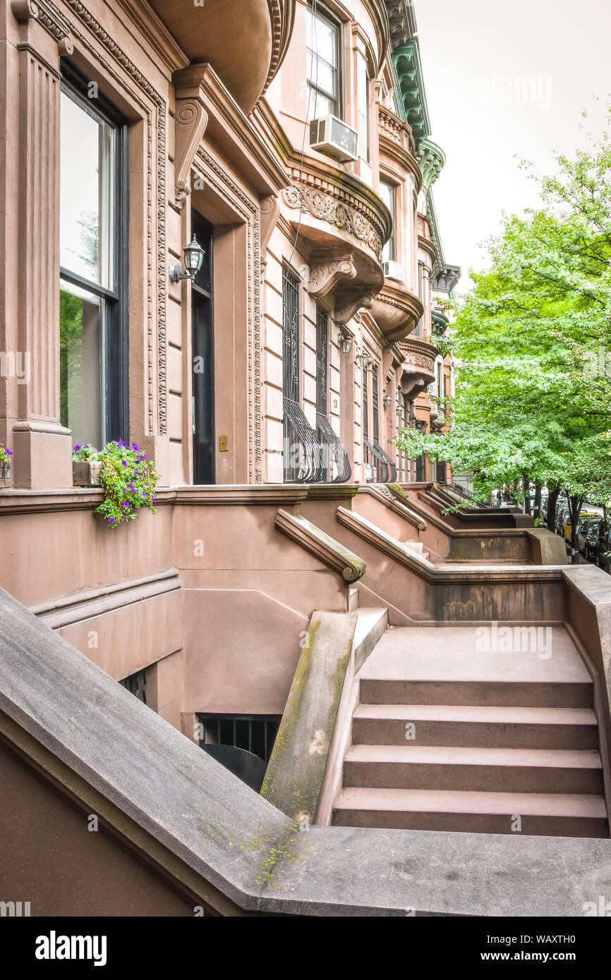 Main ladder and entry door. New york Harlem buildings. Brown houses ...