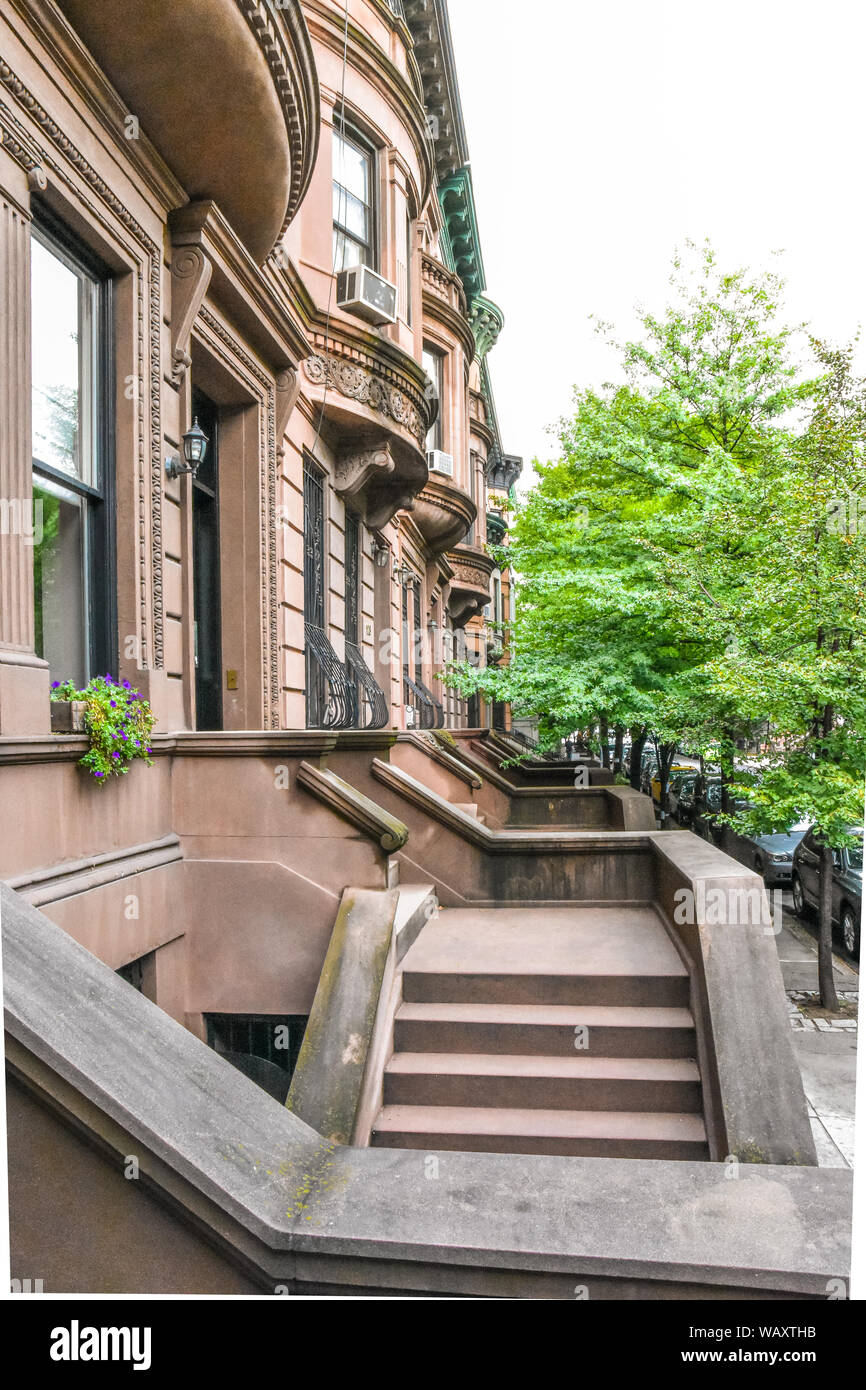 Main ladder and entry door. New york Harlem buildings. Brown houses ...