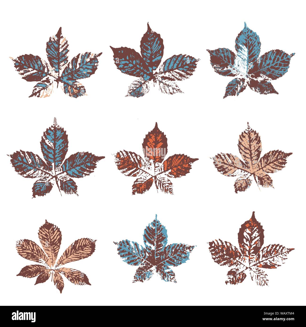 Set of Vector color chestnut Leaves print Stock Vector Image & Art - Alamy