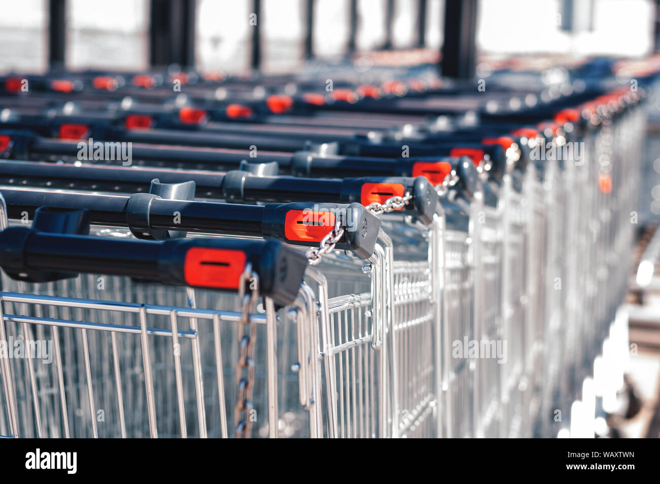 Shopping carts in the store, assembled in a row in the parking lot ...