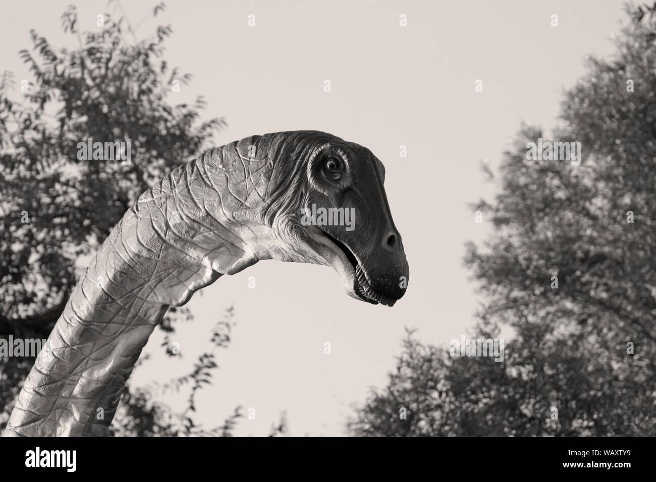 Brachiosaurus jurassic park hi-res stock photography and images - Alamy