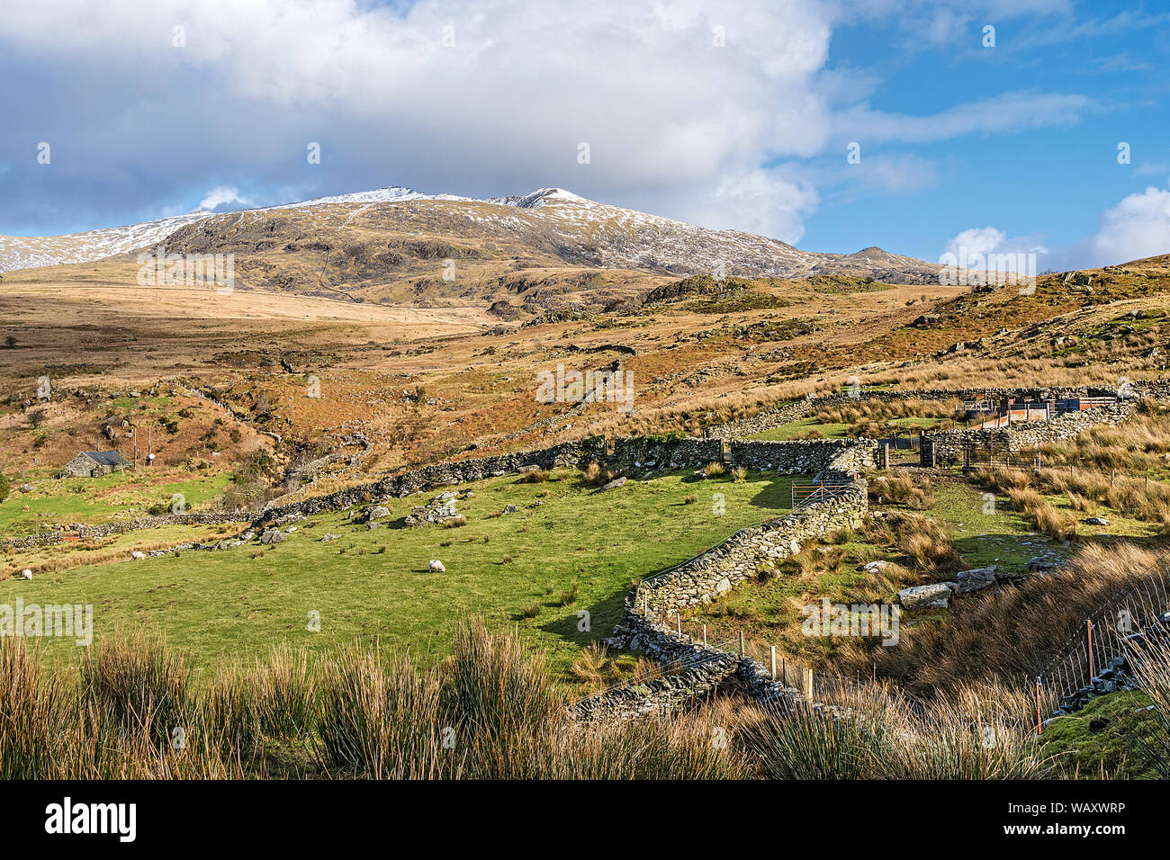 Stone sheep fold hi-res stock photography and images - Alamy