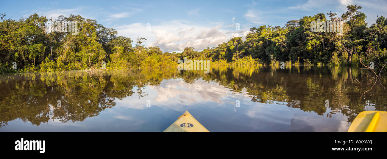 Amazonia. Panoramic, sunset view seen from the kayak. Coati Lagoon near ...