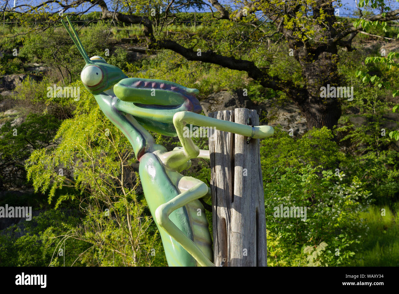 Side view of a plastic foam-made Praying mantis 3D artwork with folded ...