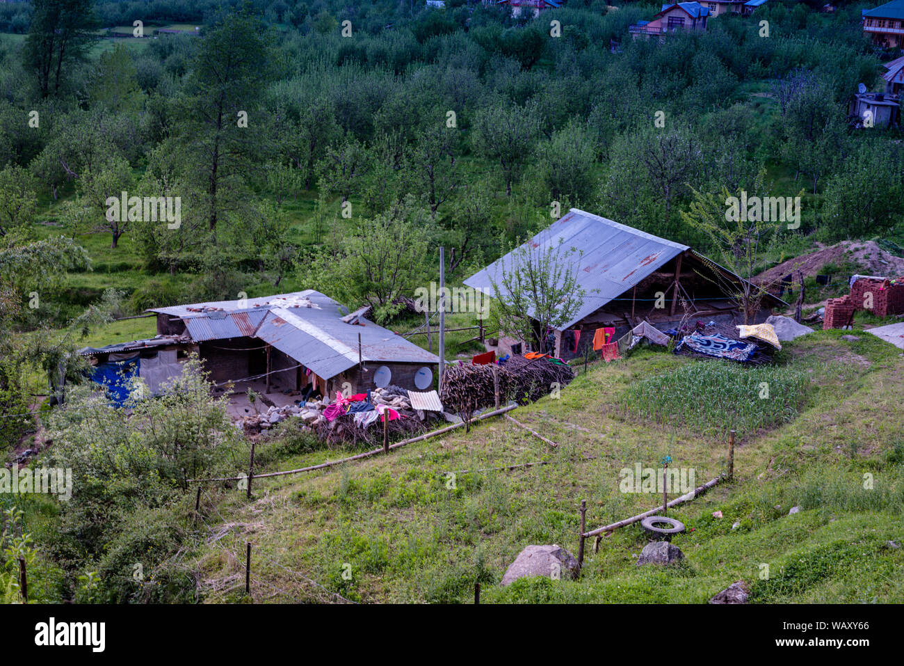 Photo of himalayan village in manali Stock Photo - Alamy