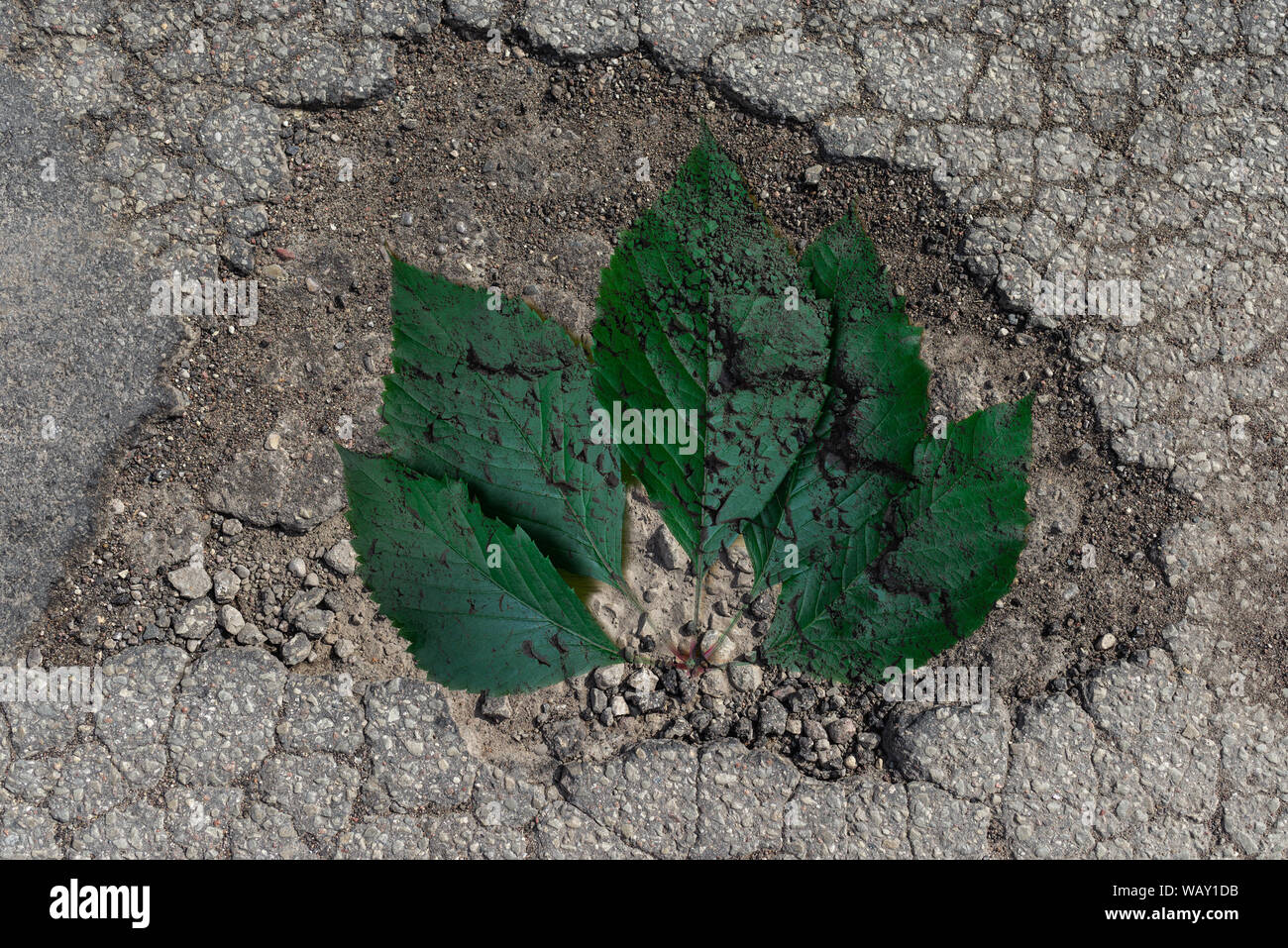 Round pothole hi-res stock photography and images - Alamy