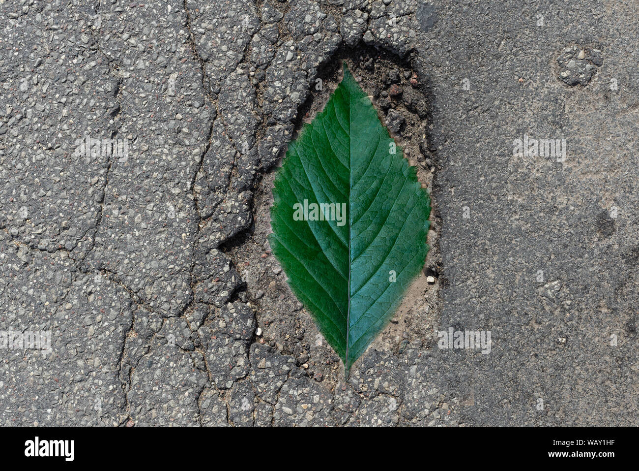 Round pothole hi-res stock photography and images - Alamy