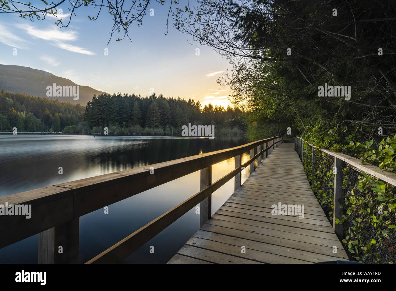 Wide shot of a wooden pathway near the body of water surrounded by ...