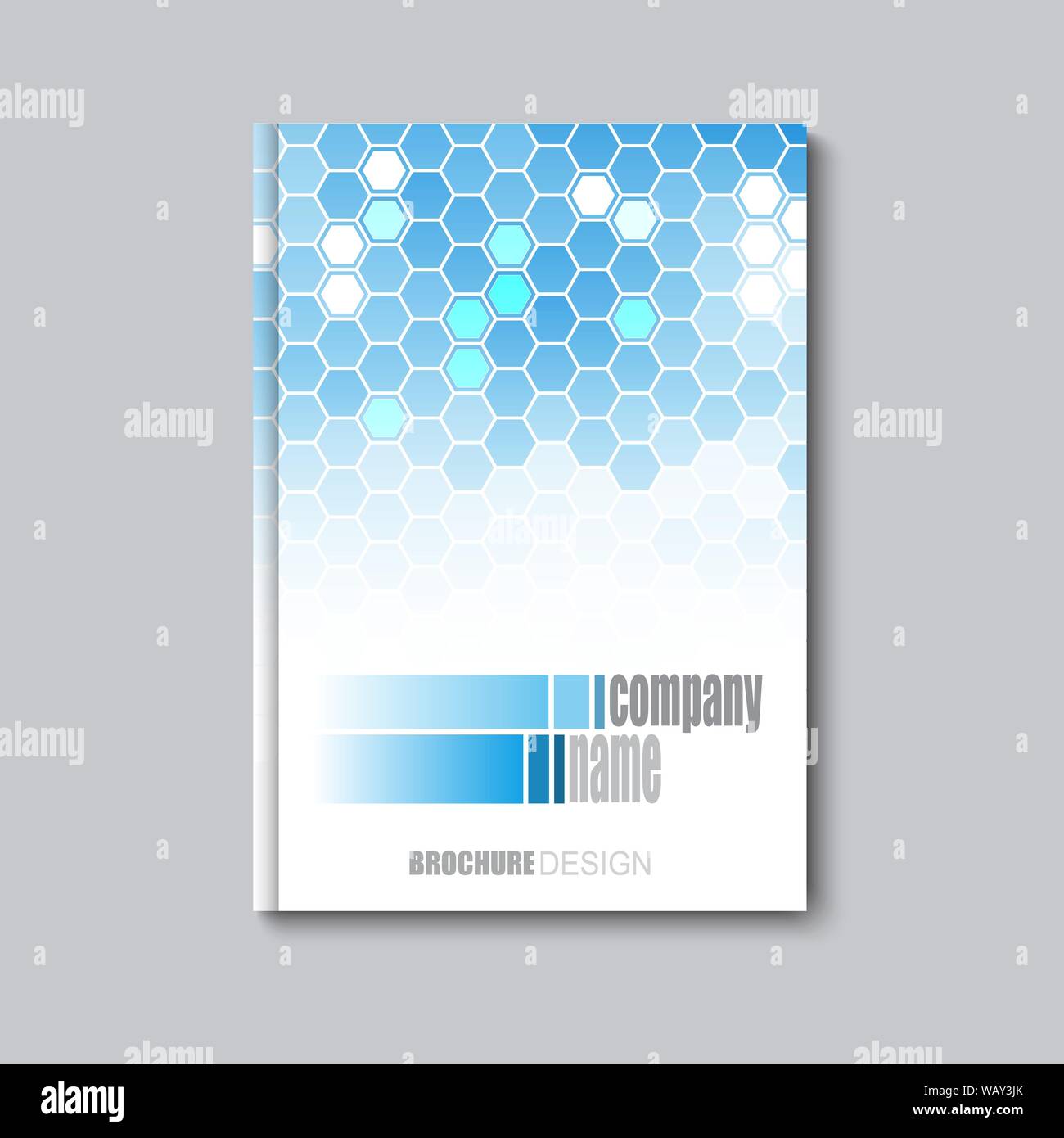 Business Corporate Flyer Template with Hexagonal Pattern Vector eps10 ...
