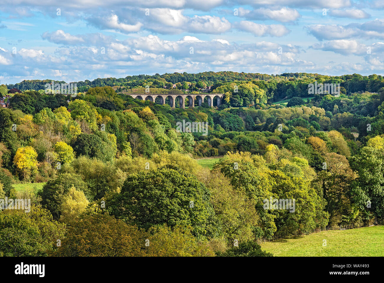Railway viaduct over the River Dee viewed across Ty Mawr Country Park ...