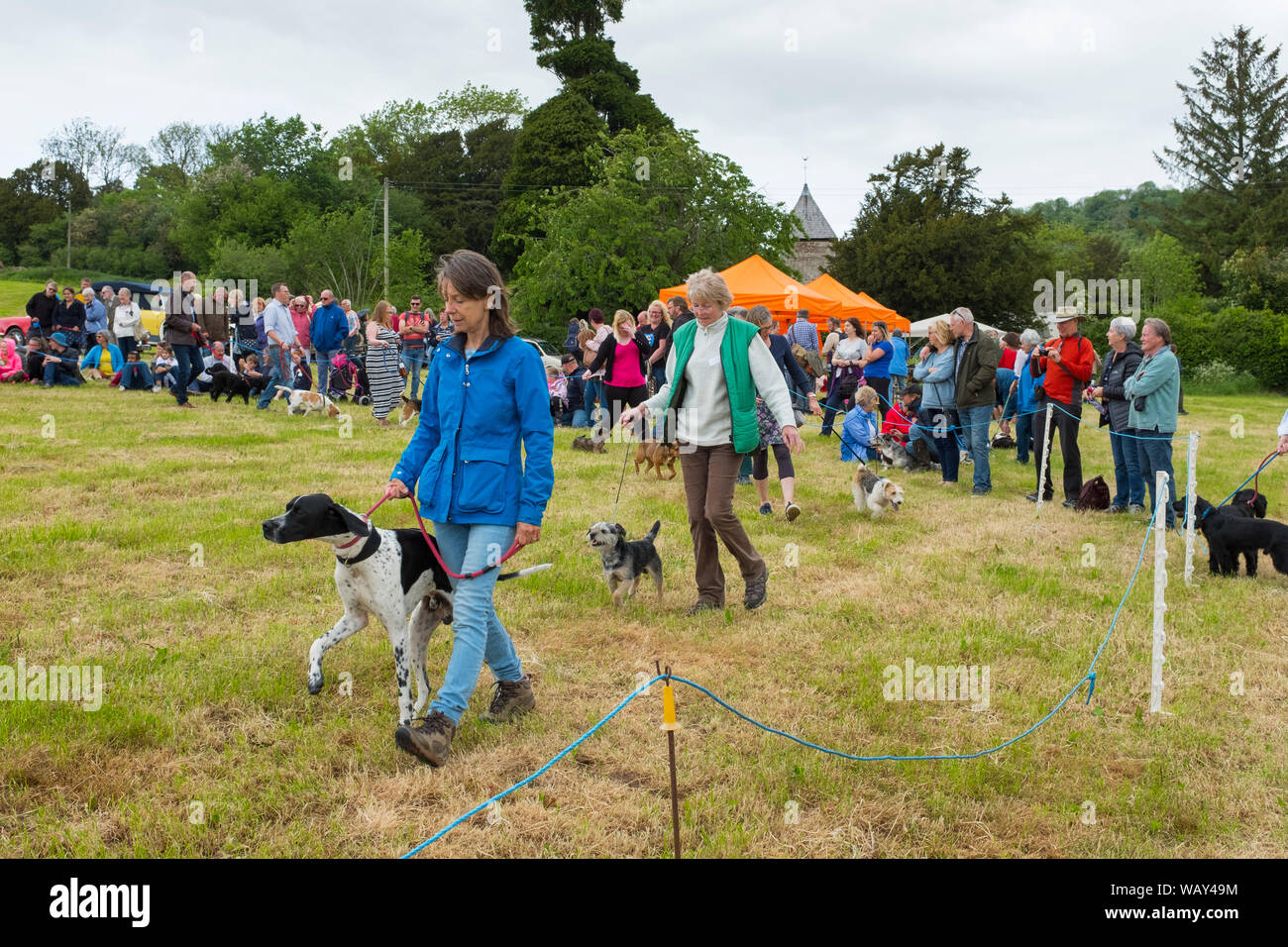 Annual dog show hi-res stock photography and images - Alamy