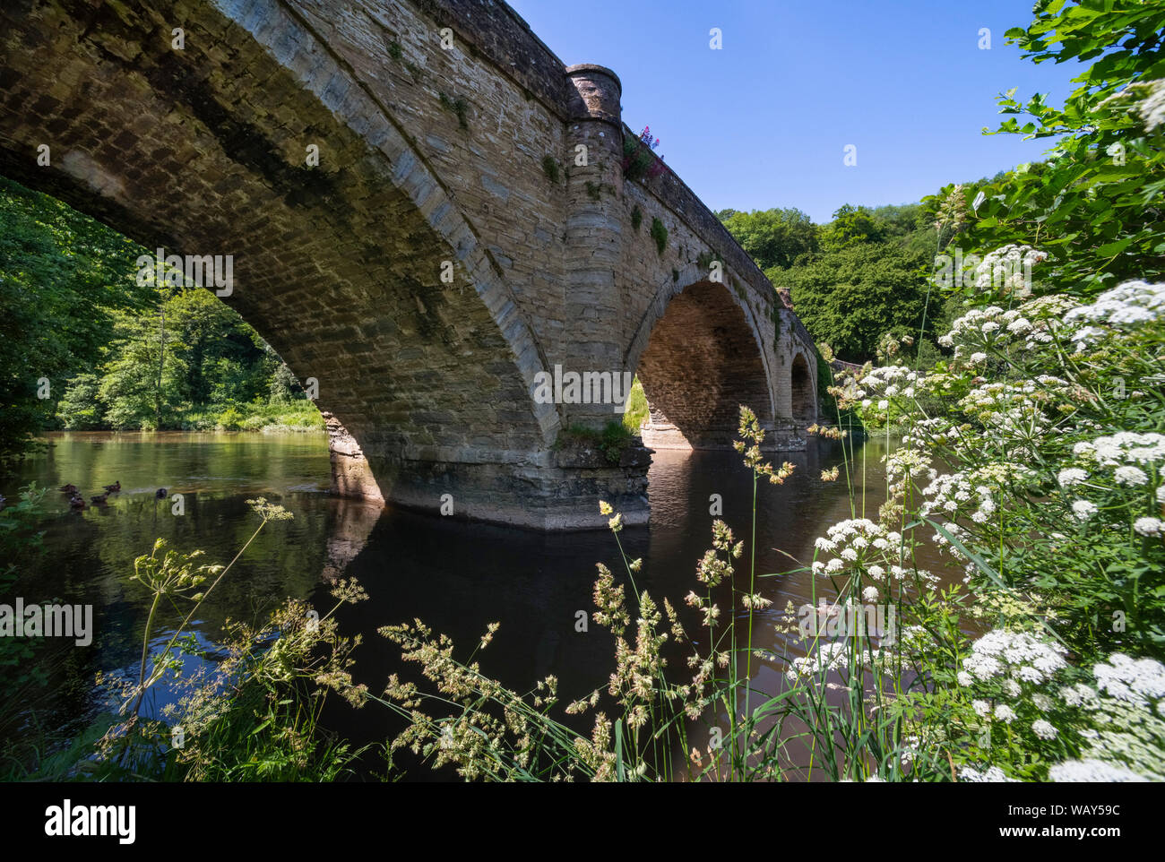 Bridge over river teme hi-res stock photography and images - Alamy