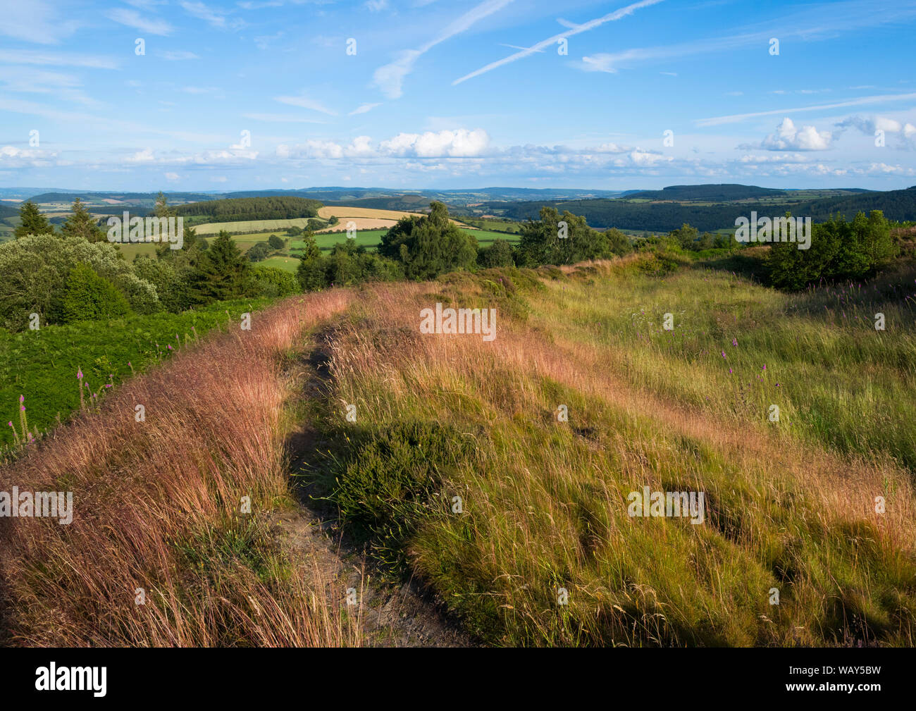 Bury ditches hillfort hi-res stock photography and images - Alamy