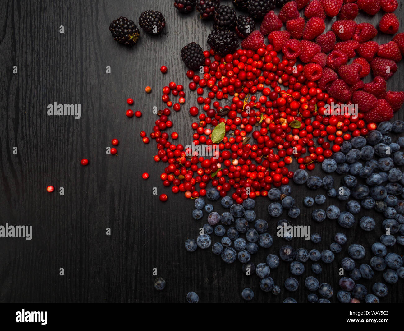 super antioxidants. superfood. mix of fresh berries, rich with ...