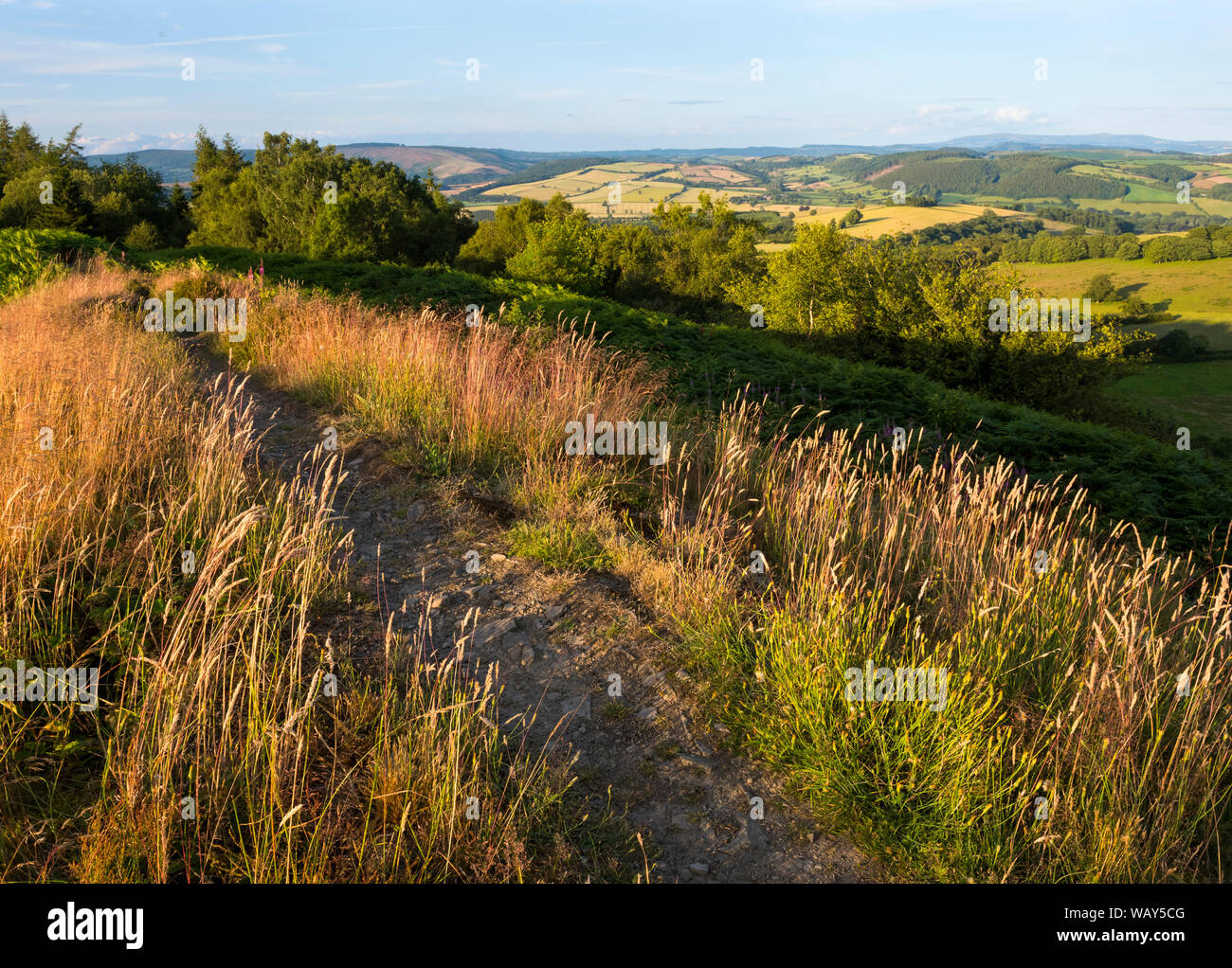 Bury ditches iron age fort hi-res stock photography and images - Alamy