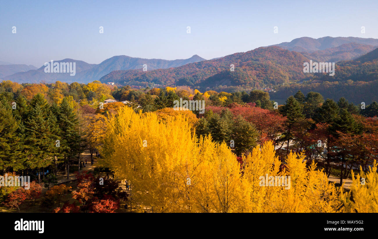 Nami island hi-res stock photography and images - Alamy