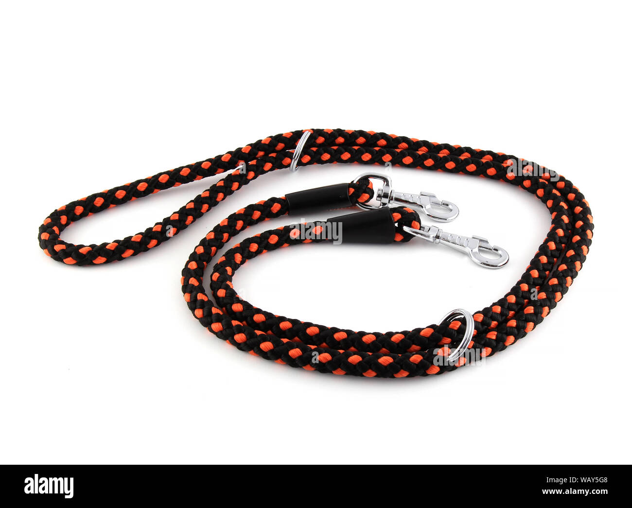 Leash clip Cut Out Stock Images & Pictures - Alamy