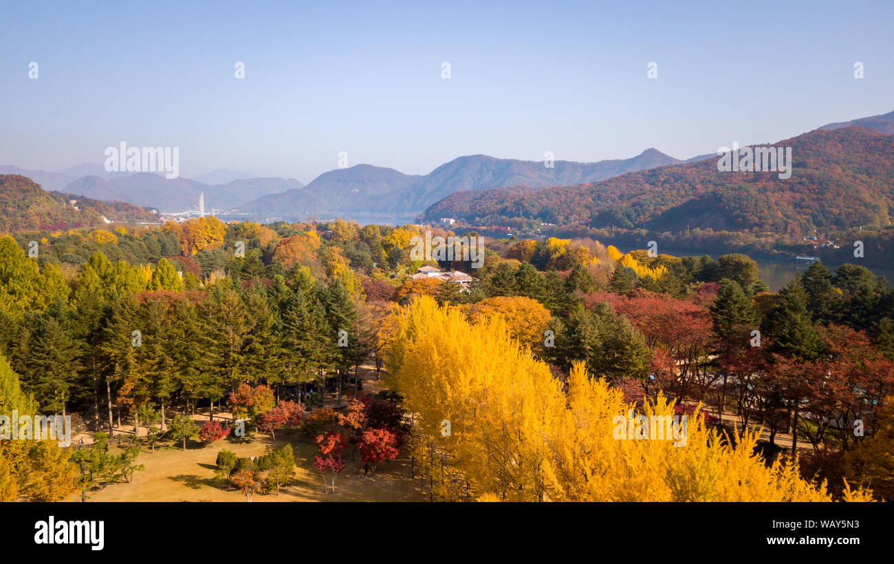 Autumn scenery nami island south hi-res stock photography and images ...