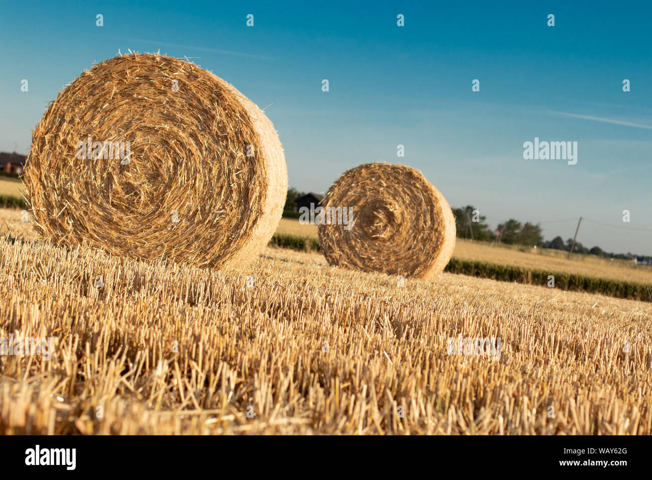 Round bundles of dry grass hi-res stock photography and images - Alamy