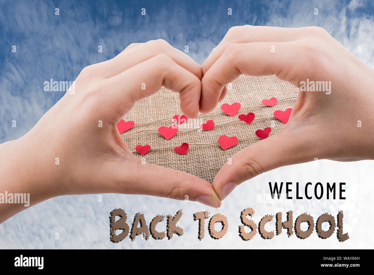 Back to school wording as education, teaching and learning concept ...