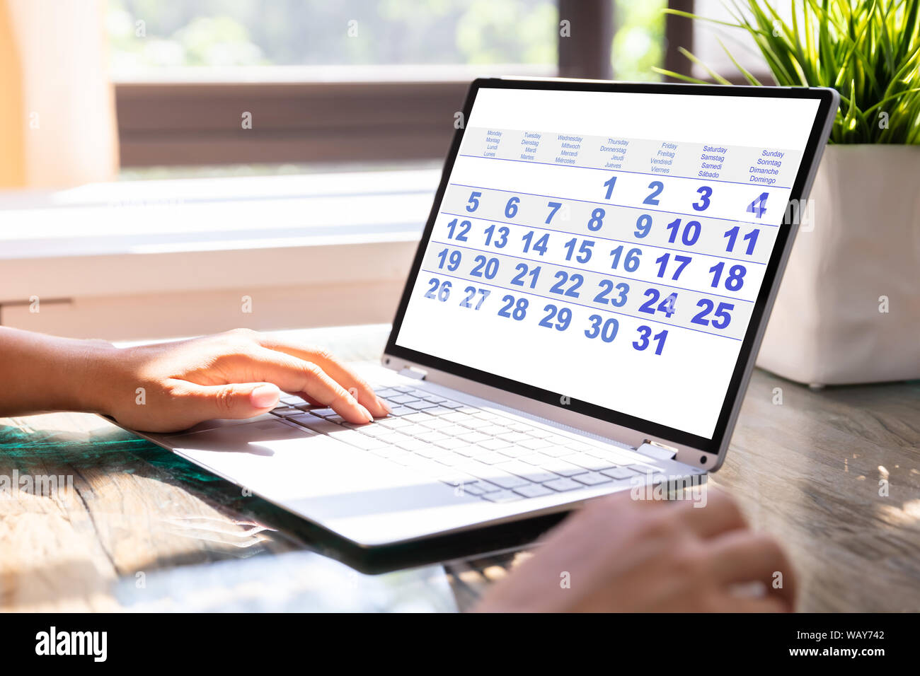 Close-up Of A Business Person Looking At Calendar On Laptop Computer ...