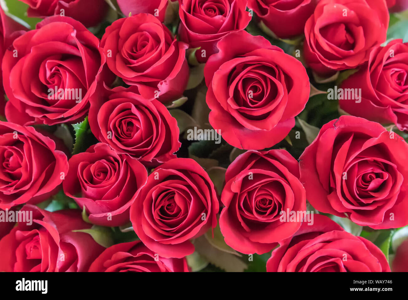 Bouquet of red roses, top view Stock Photo - Alamy