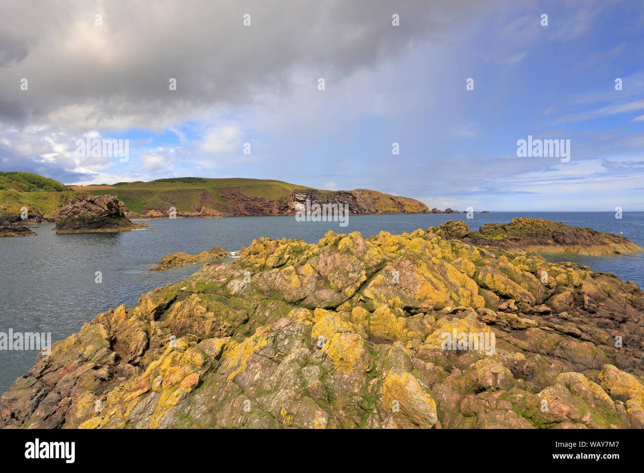 St abbs head scottish borders hi-res stock photography and images - Alamy