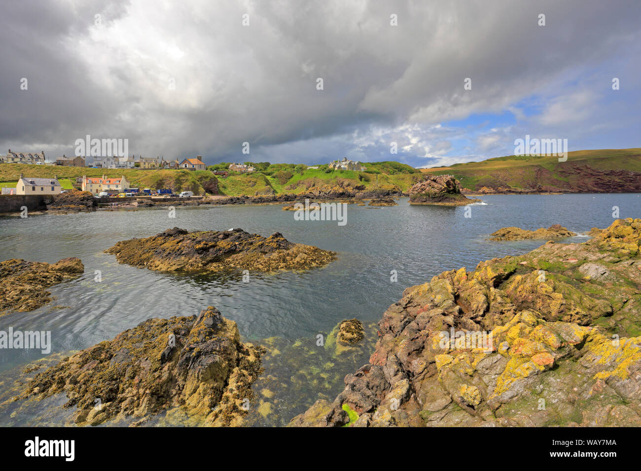 St Abbs and Starney Bay, Berwickshire, Scottish Borders, Scotland, UK ...