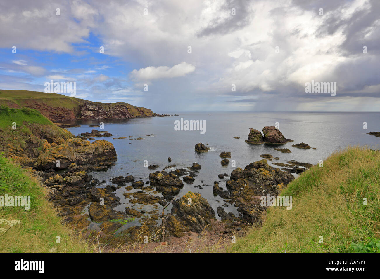 St Abbs Head and Starney Bay from St Abbs, Berwickshire, Scottish ...