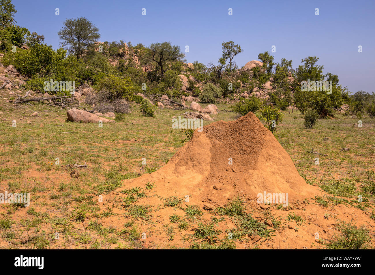 Termite mound building hi-res stock photography and images - Alamy