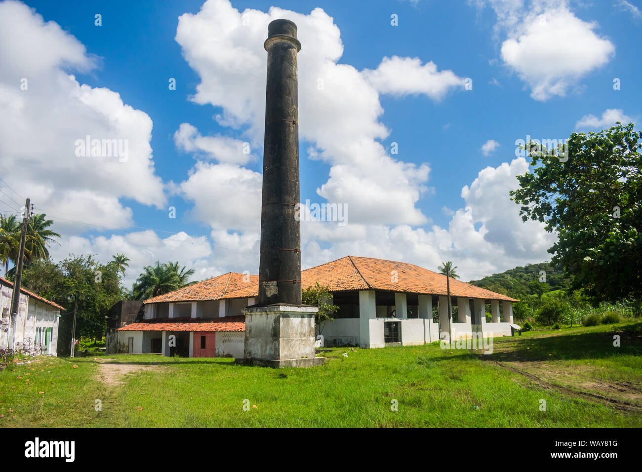 Brazil sugar cane plantation historic hi-res stock photography and ...